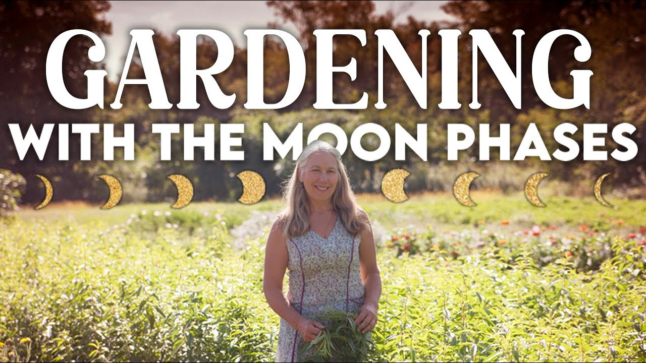 The Celestial Garden | Jane Hawley Stevens - YouTube