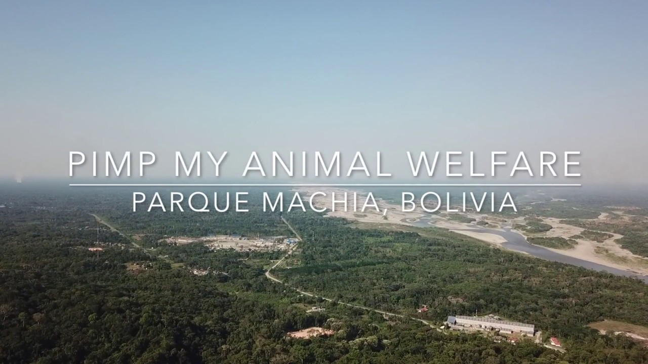 Pimp my World: Marley y su recinto - YouTube