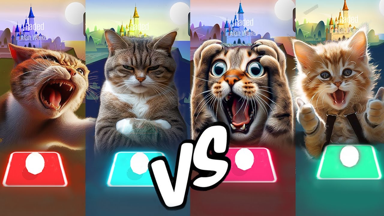 CUTE CATS - LADY GAGA BLOODY MARY VS BTS DYNAMITE VS NEVER GONNA GIVE YOU UP VS FADED - YouTube