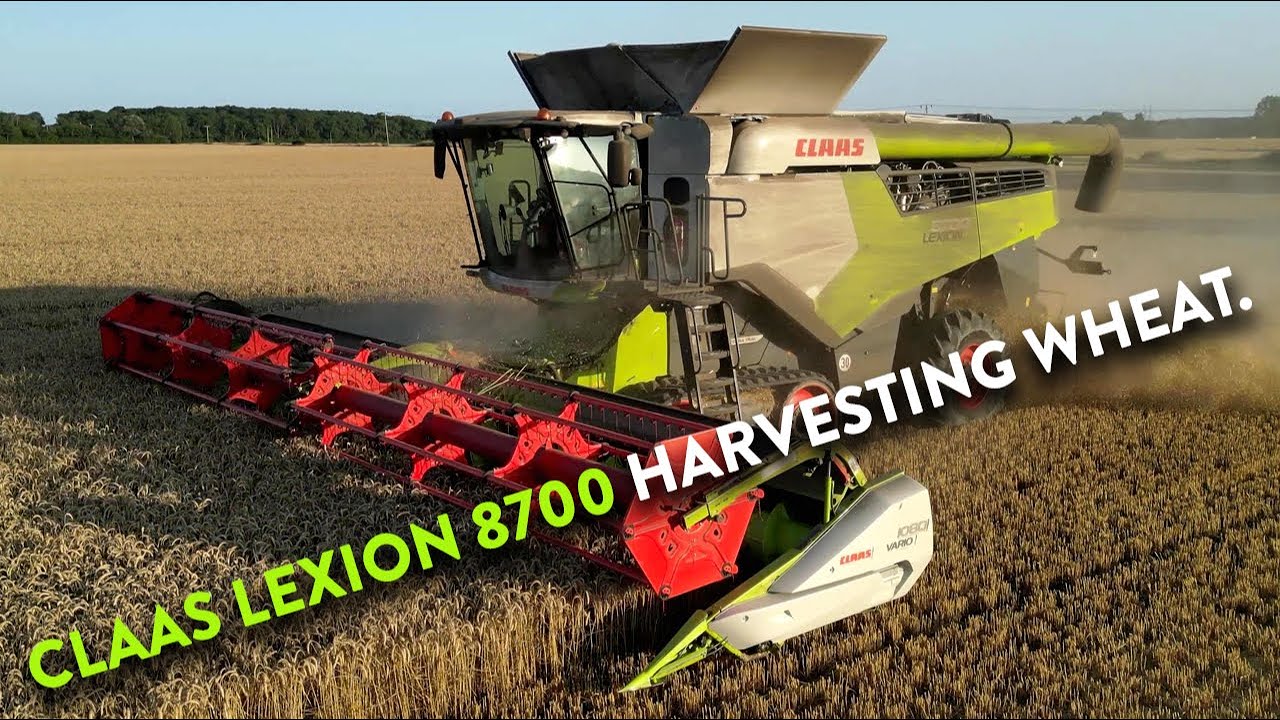 4Kᵁᴴᴰ Harvest 2024: Claas Lexion 8700 TT combine harvester cutting ...
