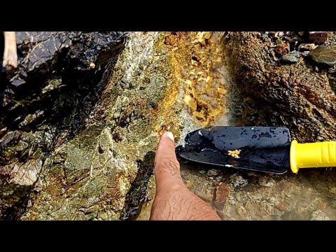 MENGEJUTKAN,,TEMUAN URAT EMAS DI PINGGIRAN SUNGAI~HUNTING AND FINDING ...