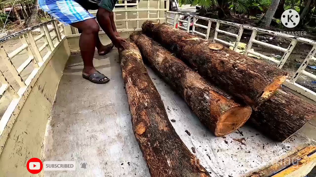 Thekku maram / Teak Tree cutting / Gopro 8 Black / #rajawoodcutting ...