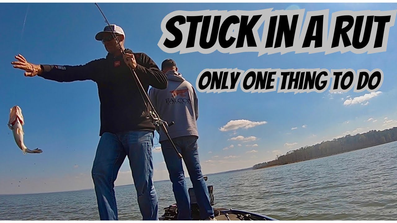 Ever been in a RUT in fishing. What do you do about it? - YouTube