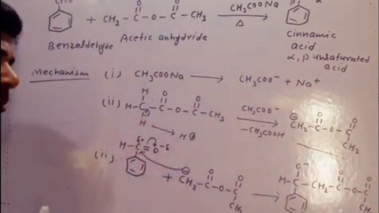|Perkin Reaction with Mechanism| BSC | Chemistry| - YouTube