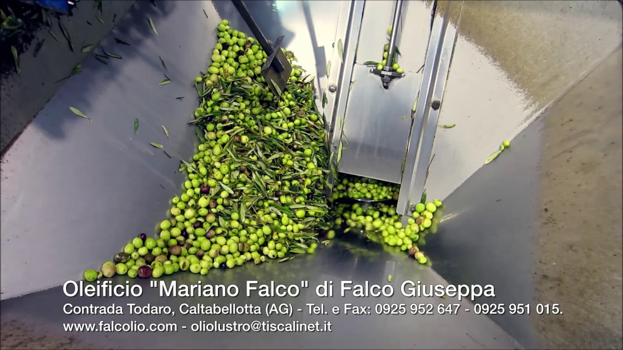 falco video cut 23 08 17 - YouTube