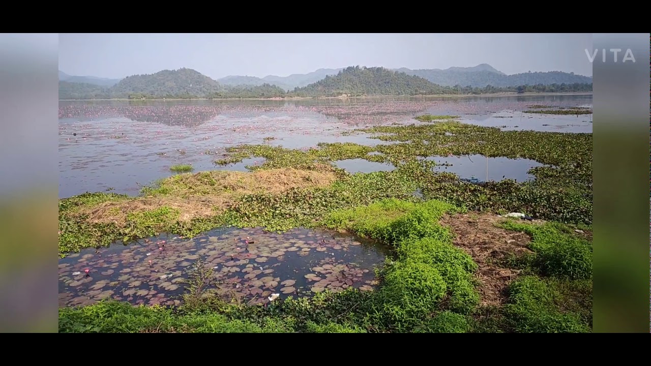 A Video on Deeplai Beel, which is the Biggest Wetland in our District ...