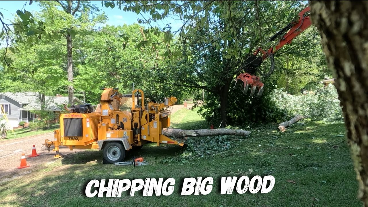 Some serious chipping with the Bandit chipper - YouTube