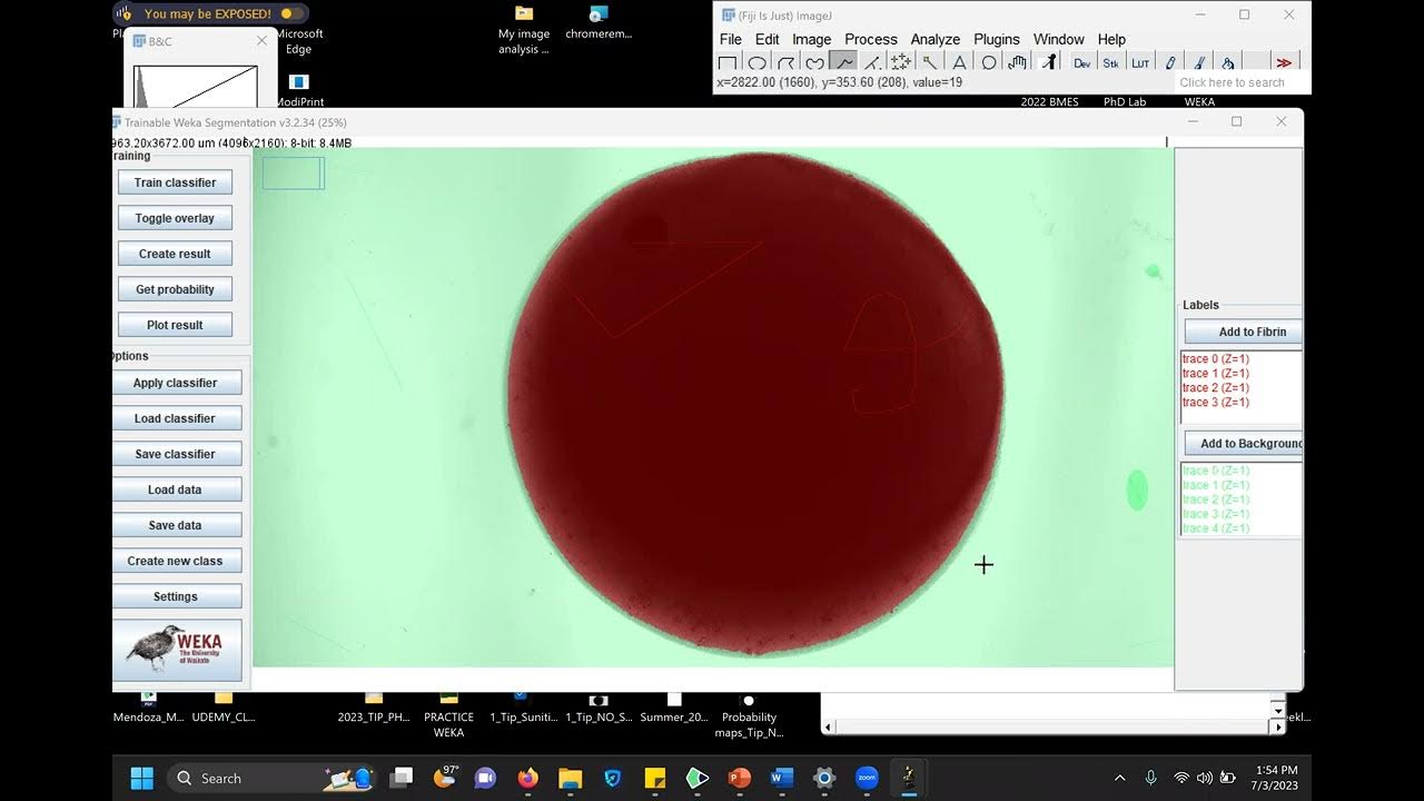 Lab Lecture 7: Image Analysis: Weka Segmentation: Image Analysis ...