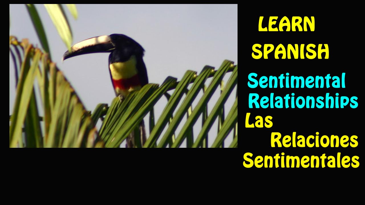 Learn Spanish- Sentimental Relationships- Las Relaciones Sentimentales ...