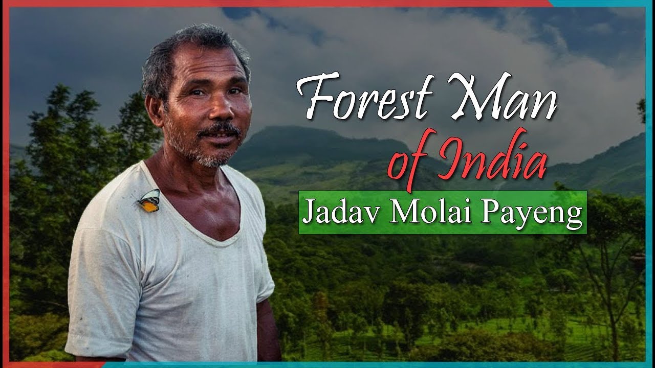 Jadav Payeng - The Forest Man Of India who planted an entire forest by ...