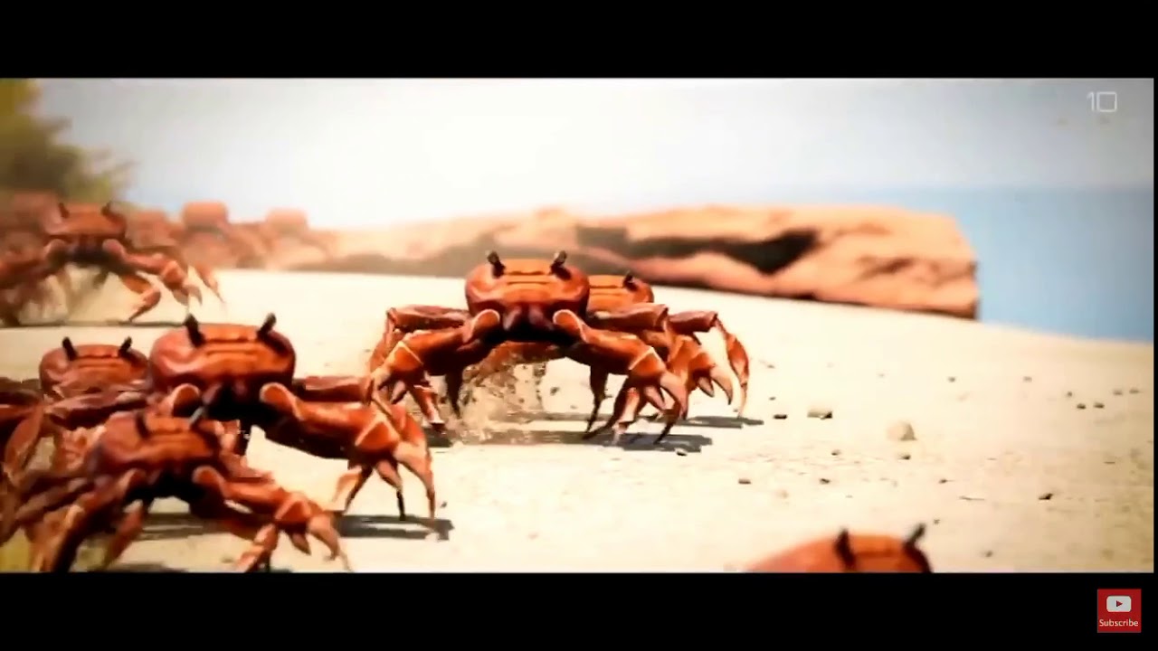 Crab Rave 🦀 - YouTube
