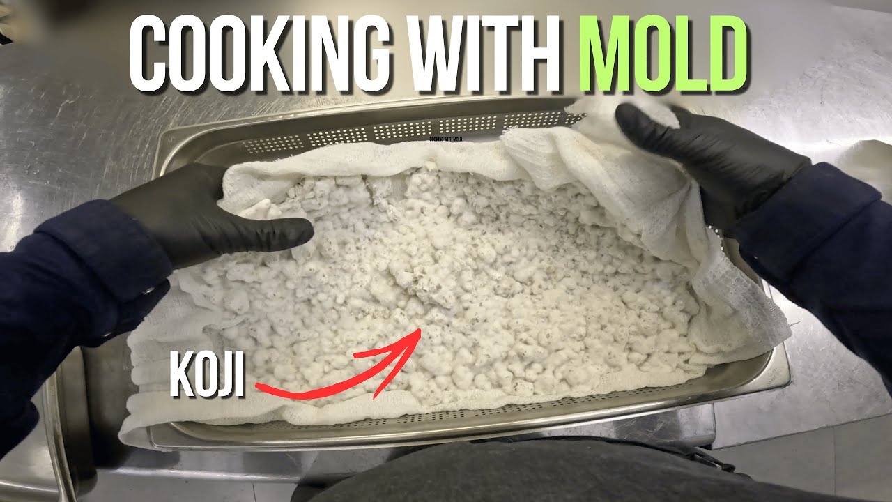POV: How I Grow MOLD and Cook Steak With It - YouTube