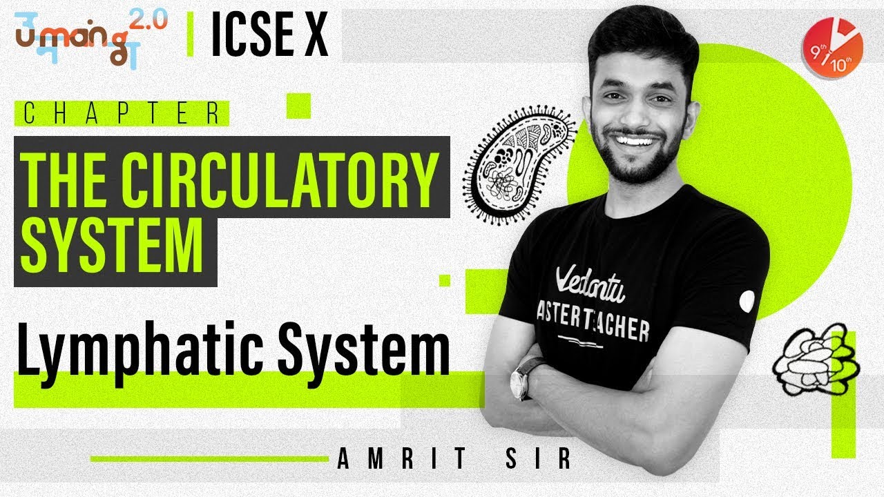 The Circulatory System L4 | Lymphatic System | ICSE Class 10 Biology ...
