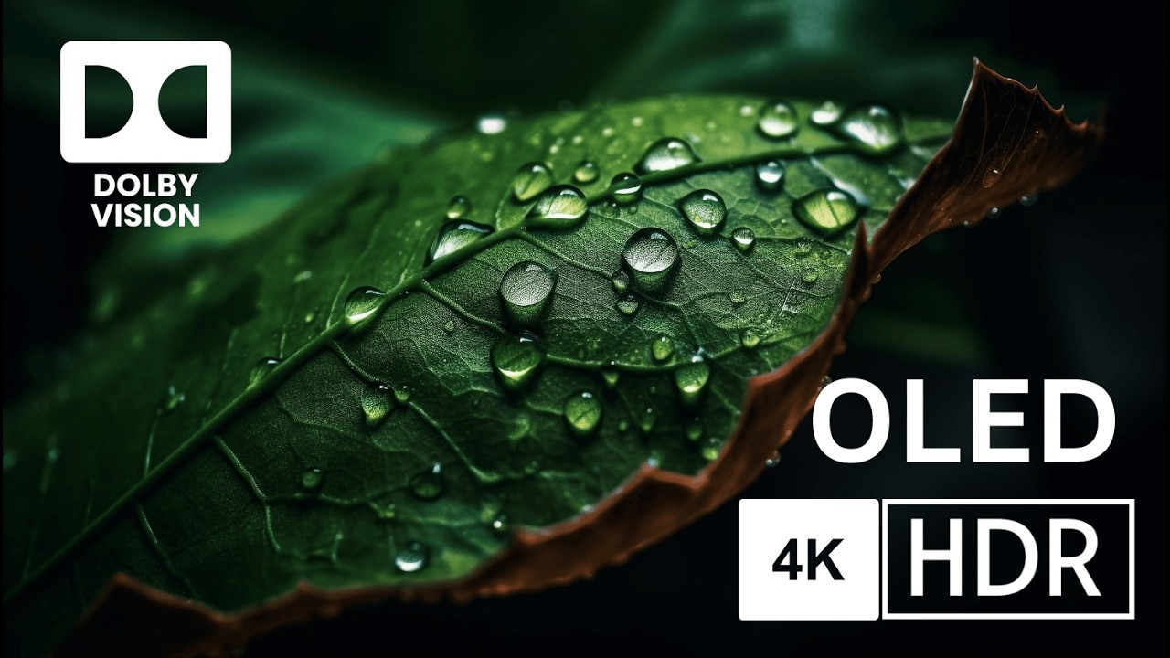 OLED Demo 4K Ultra HD 60fps HDR | Dolby Vision™ | Nature 4K HDR - YouTube