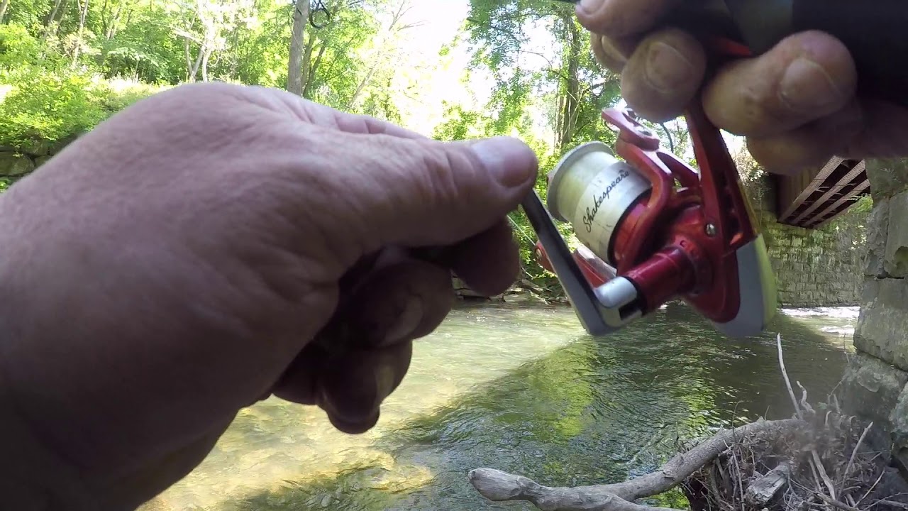 Catching a limit of Trout at the Bushkill creek. June 1st 2020 - YouTube