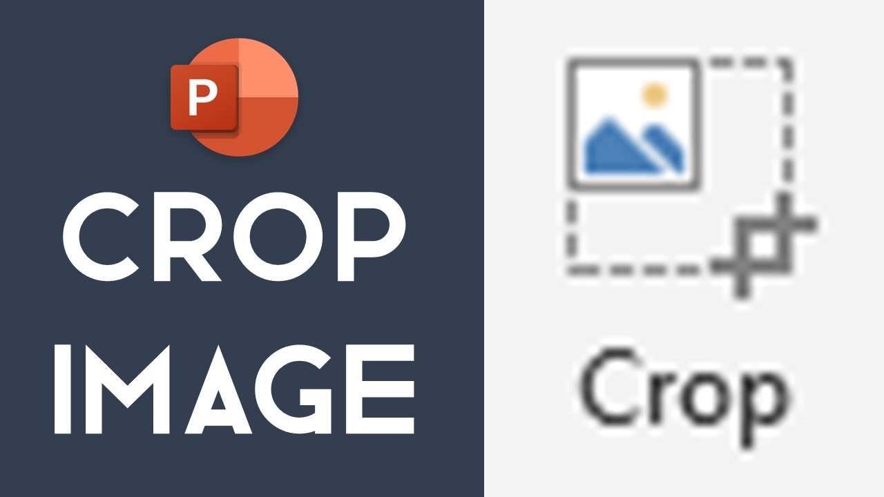 How To Crop Image In PowerPoint | Easy & Fast Tutorial - YouTube