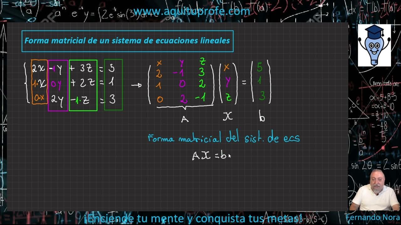 Forma matricial de un sistema de ecuaciones lineales - YouTube