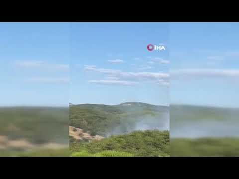 Ayvalık’taki orman yangını kontrol altına alındı