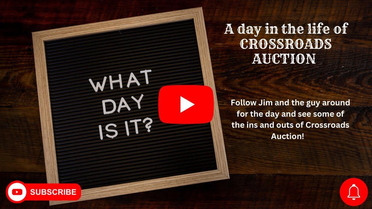 A day in the life at Crossroads Auction! #auction #deals #liveauctions ...