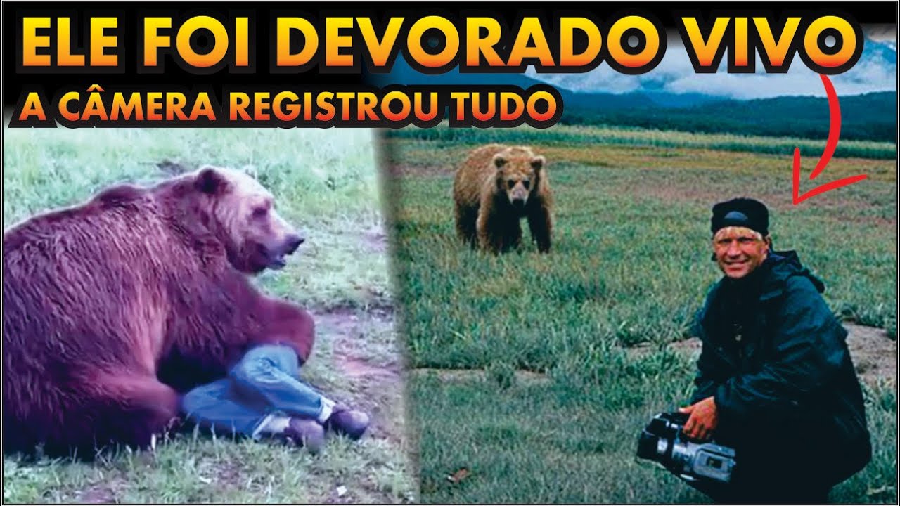 ELE FOI DEVORADO PELO URSO EM FRENTE A CÂMERA - Timothy Treadwell - YouTube