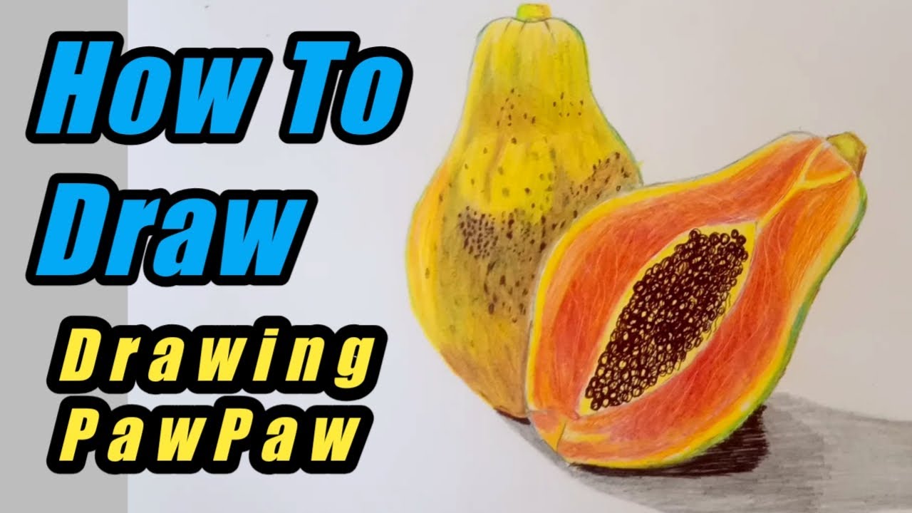 Asmr| Art For Kids How To Draw Pawpaw (pencil drawing part 33) - YouTube