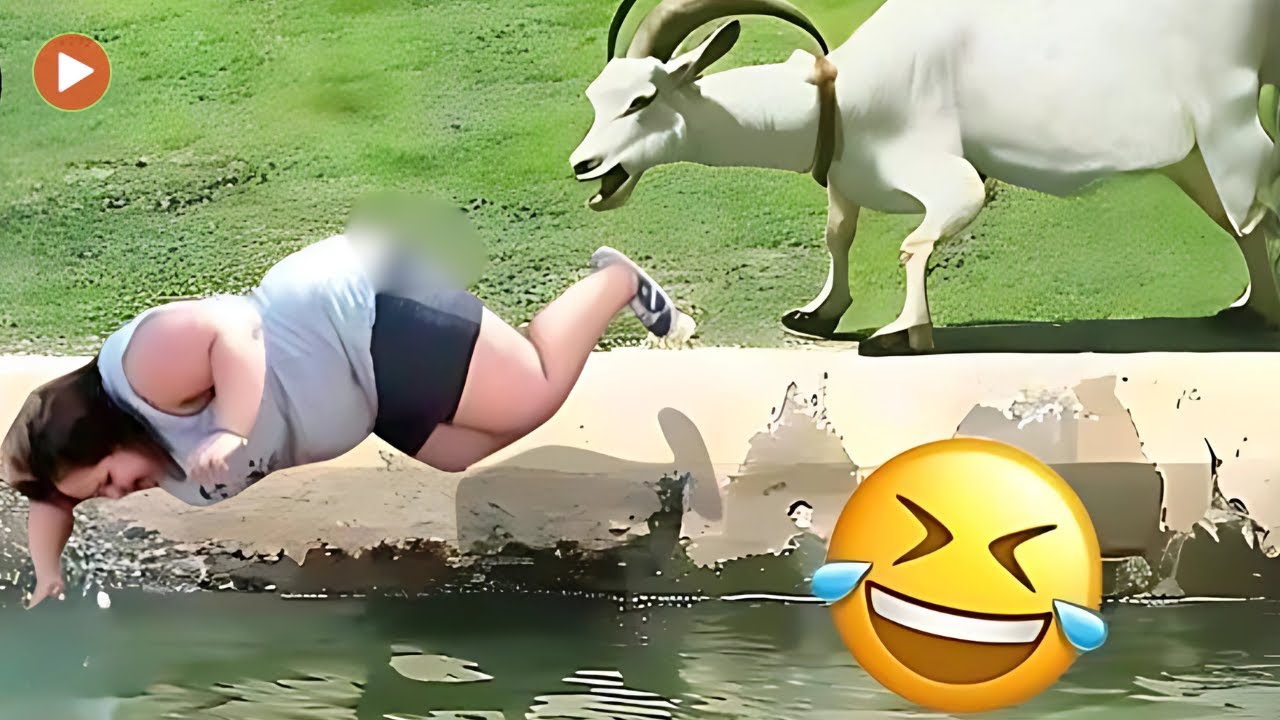 Funny Hilarious People 😂 #8 | Instant Regret Fails Compilation 2024 - Try Not To Laugh - YouTube