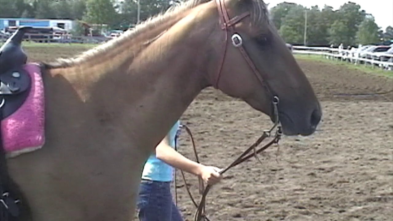 2006 Beaverton Fair - YouTube