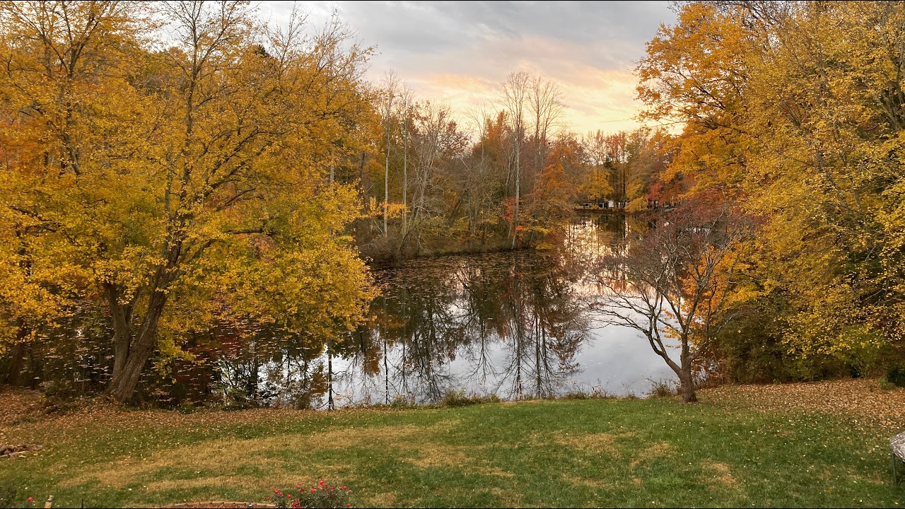 Reichen Townsley Live Stream - YouTube