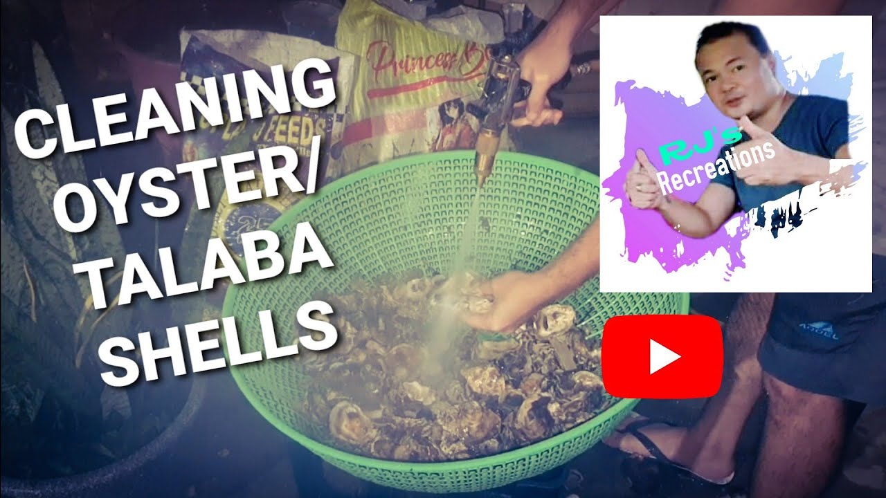 How to Clean Oyster or Talaba Shells - YouTube