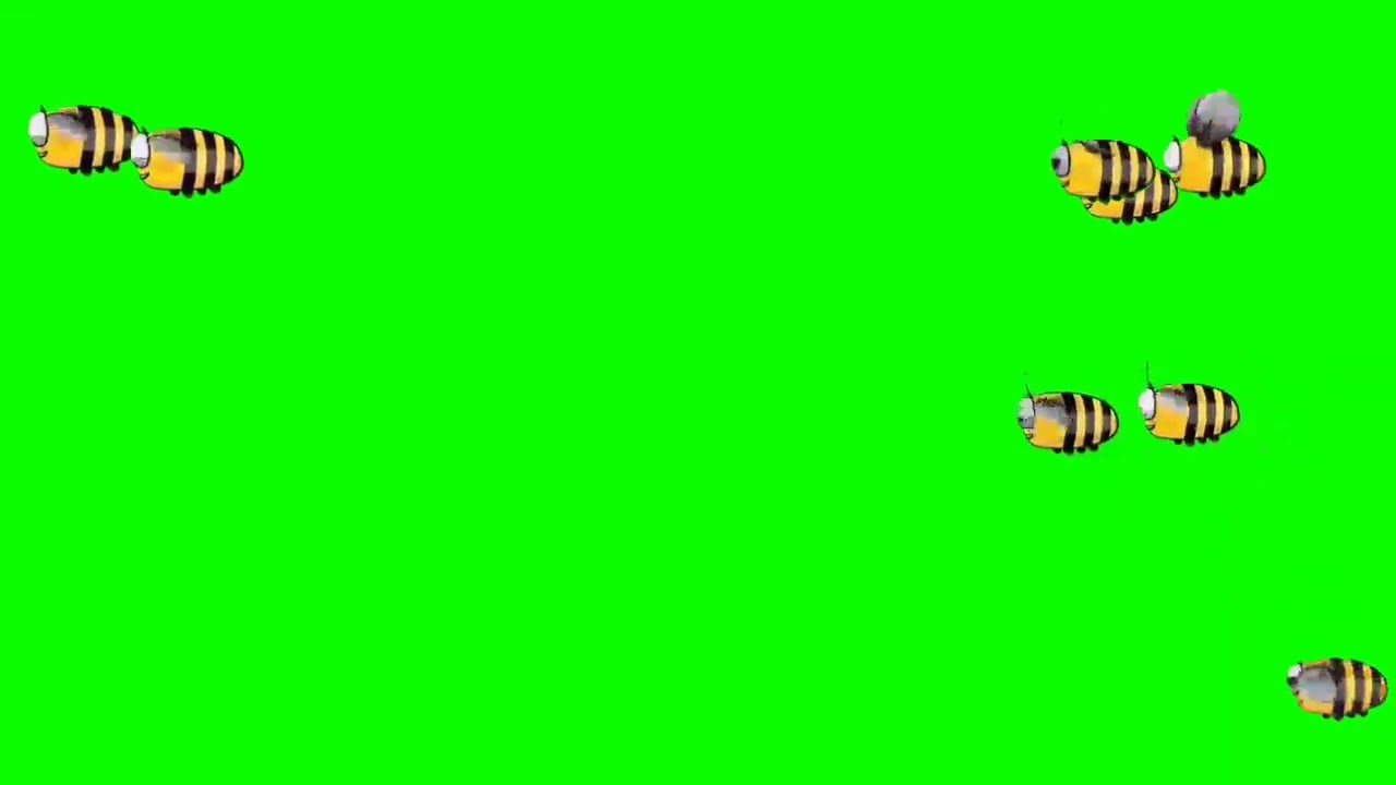 Bee fly green Screen video // Bee green Screen animation video // free ...