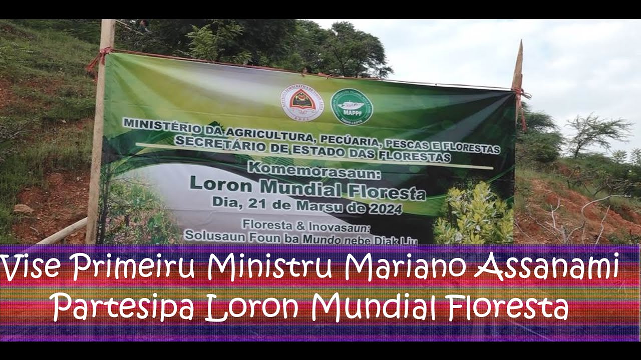 MAPPF Komemora Loron Mundial Floresta - YouTube