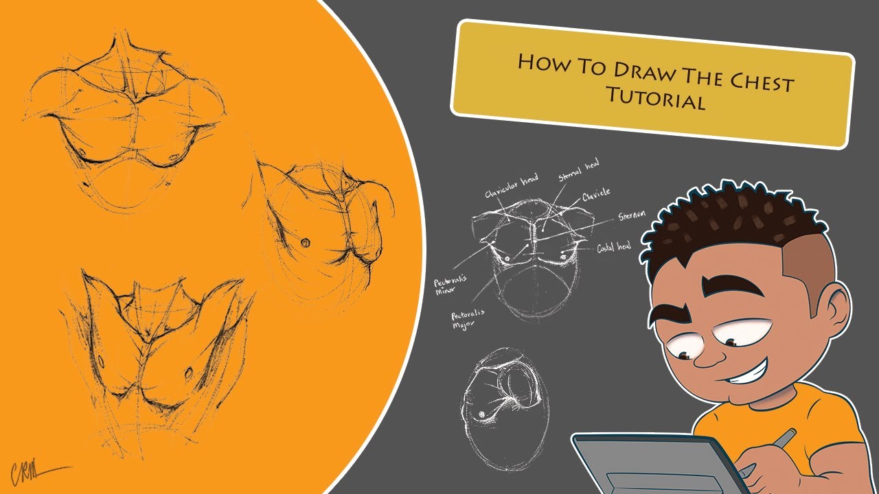 How To Draw The Chest Tutorial | Using Simple Shapes - YouTube