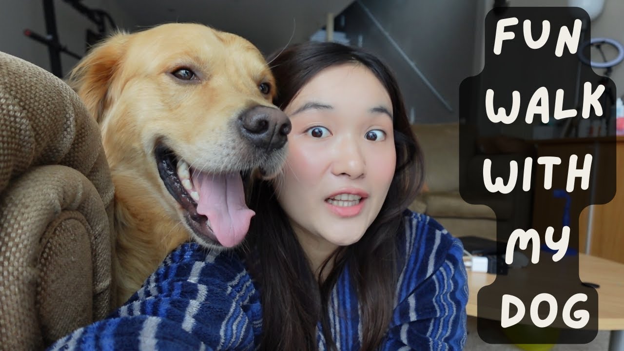 Walk with my dog (Frodo) | Usual walk | Bhutanese vlogger - YouTube