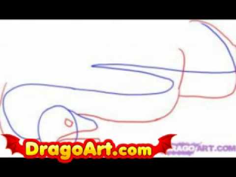 How to draw an eel, step by step - YouTube