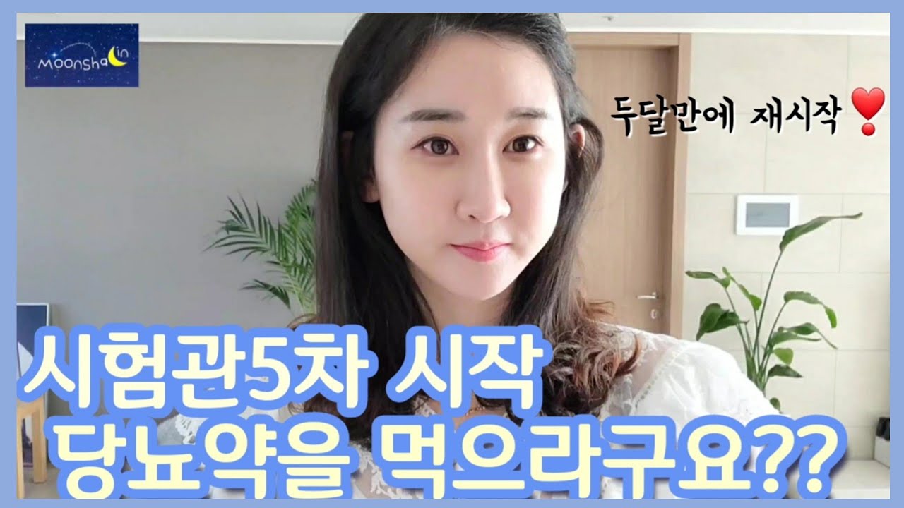 시험관 성공 브이로그 1편💕 시험관 5차 시험관 아기 시술과정 시험관 주사 시험관 브이로그 시험관 이식
