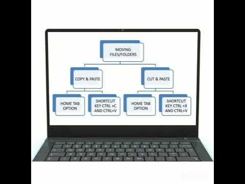 Class 4 Computer Chapter 8 Features of File Management - YouTube