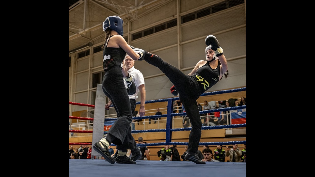 WORLD CHAMPIONSHIP SAVATE - YouTube