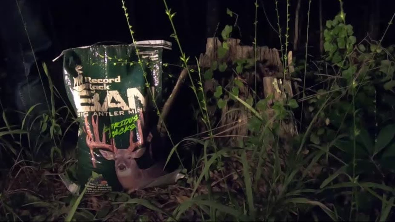 RECORD RACK BAM BIG ANTLER MINERAL REVIEW! GREAT RESULTS! #recordrack ...