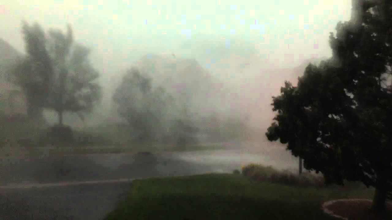Wind storm takes down tree - YouTube
