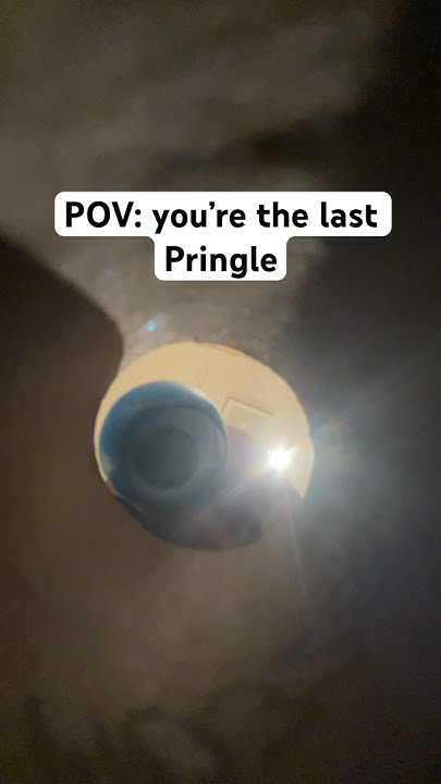 POV: you’re the last Pringle in the can #funny - YouTube