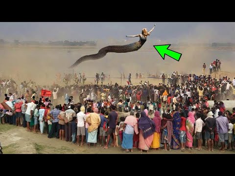 Yılan, Birdenbire Havada Uçmaya Başladı! Allah'ın Kudretine Bakın! Allah'ın Mucizesi...