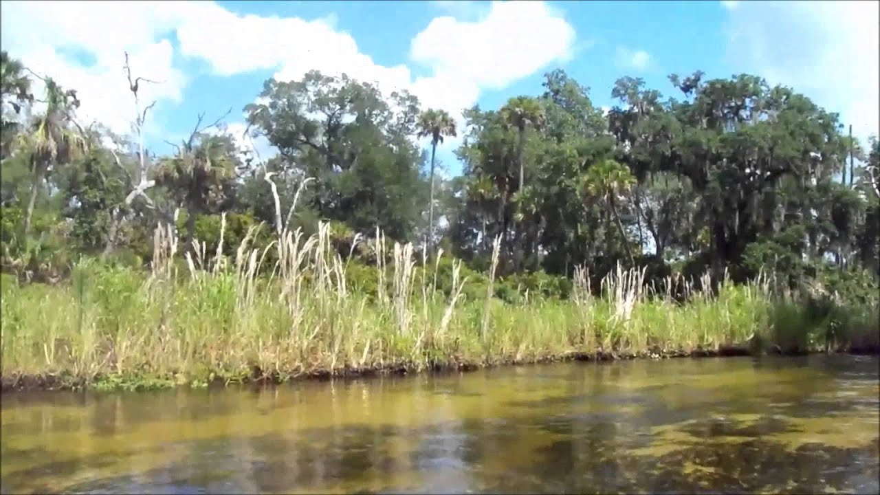 Juniper Springs Kayaking (08-03-13) Ocala National Forest - YouTube