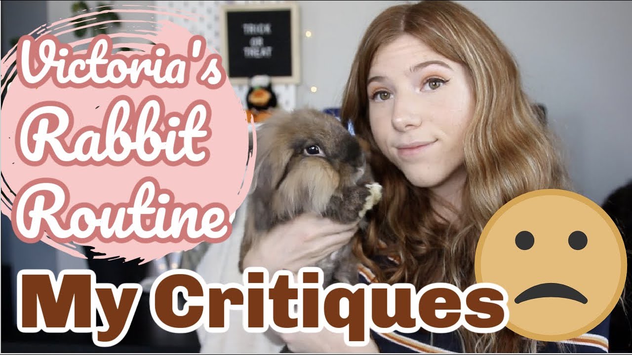 VICTORIA RAECHEL RABBIT ROUTINE | what i would do different| reaction ...