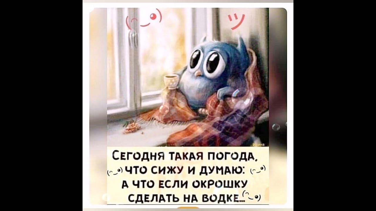 О нас девочках с юмором 🧚 Позитивного вам настроения 🌞 - YouTube