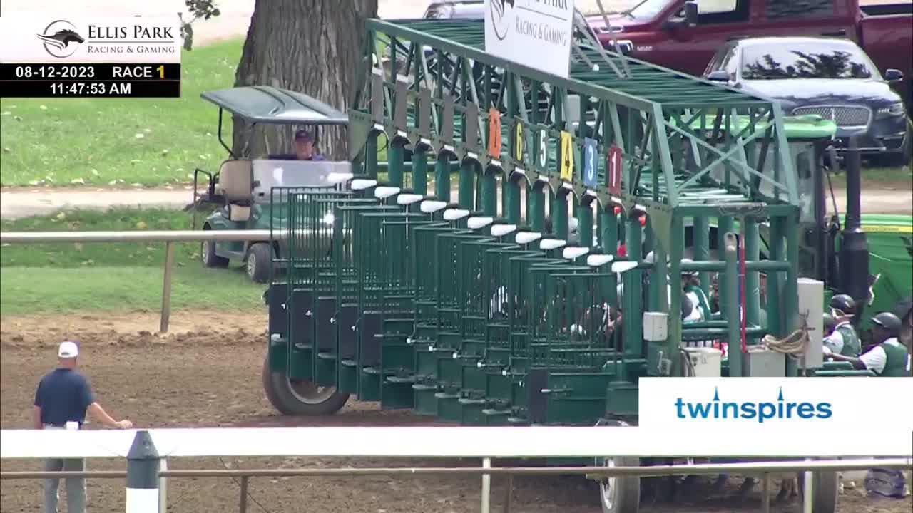 Ellis Park replays 8.12.23 - YouTube