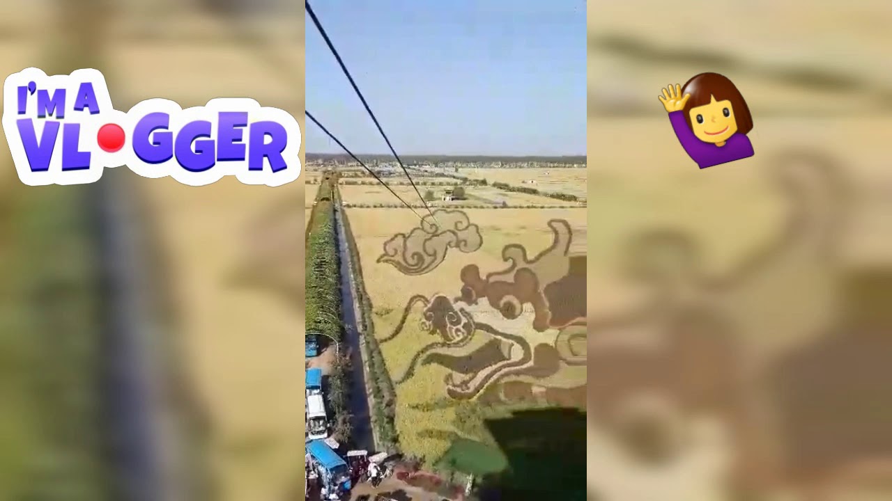 The GIANT DRAGON RICE FIELD IN CHINA - YouTube