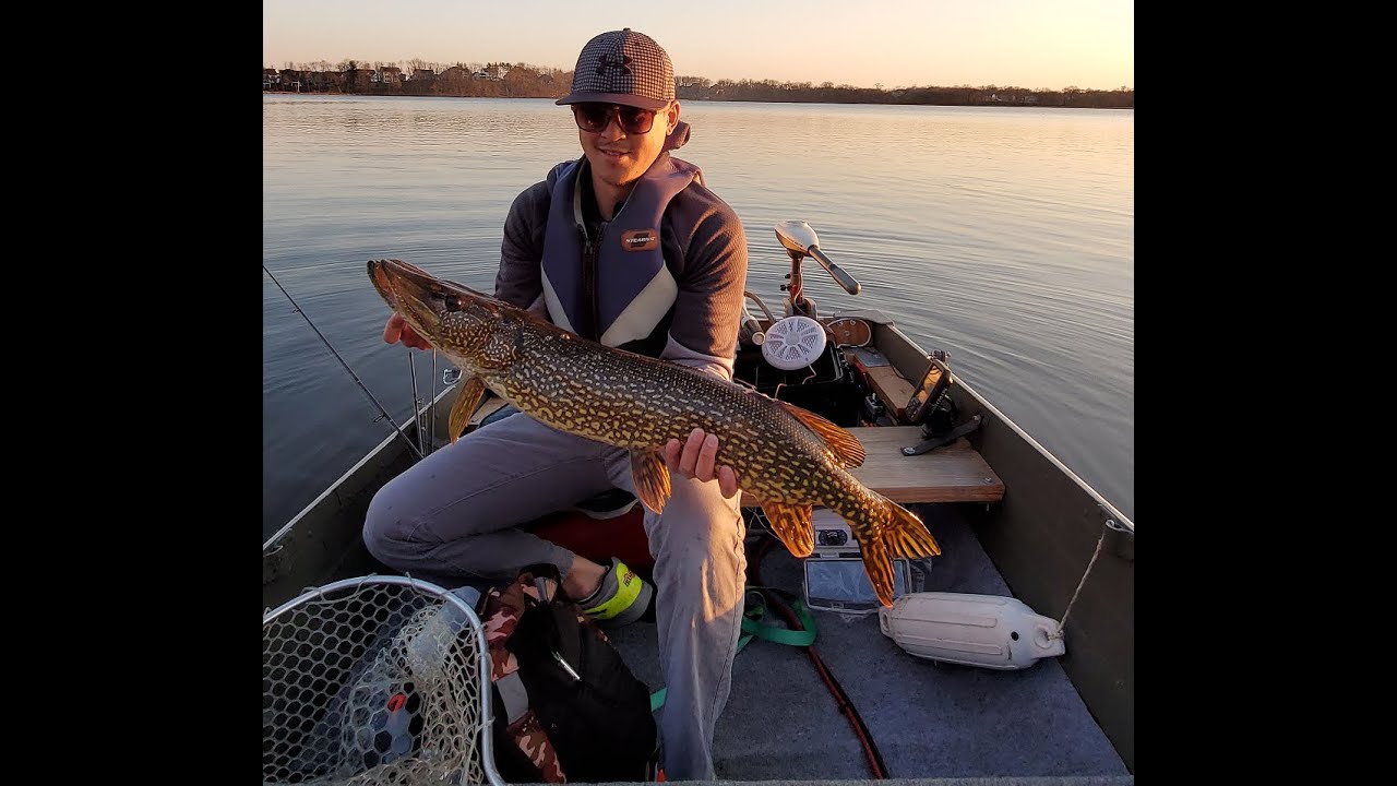 Surprising Catch at Lake Wasserman, Victoria Minnesota 4.22.20 - YouTube