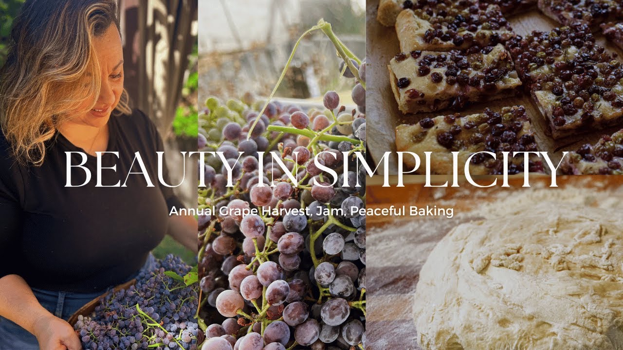 Beauty in Simplicity | Annual Grape Harvest | Peaceful Baking, Jam ...
