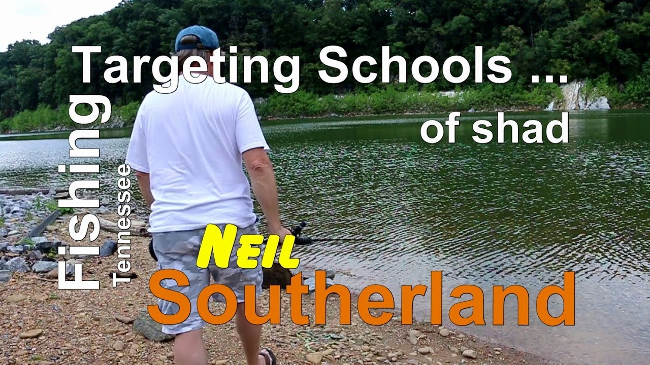 School's in Session, Fishing Schools of Baitfish ... How to! - YouTube
