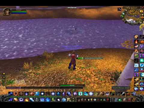 How to fish the Sea Turtle achievement in World of Warcraft - YouTube